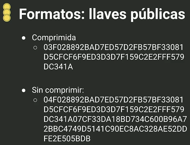 Formatos de llaves públicas y privadas