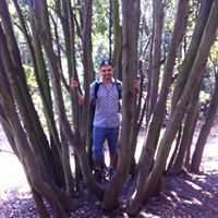 Crea tu blog con ReactJS, GitHub y Surge