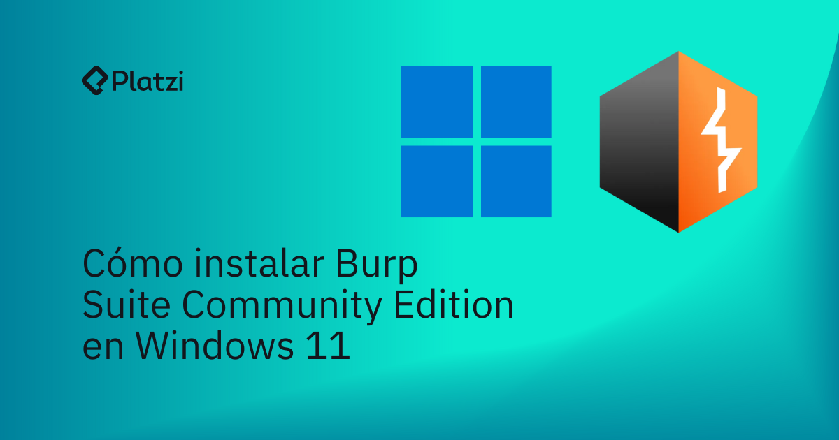Cómo instalar Burp Suite en Windows