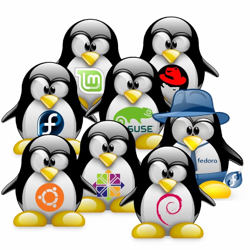 ¿Utilizas Linux? Estas son las 10 mejores distribuciones para ti.