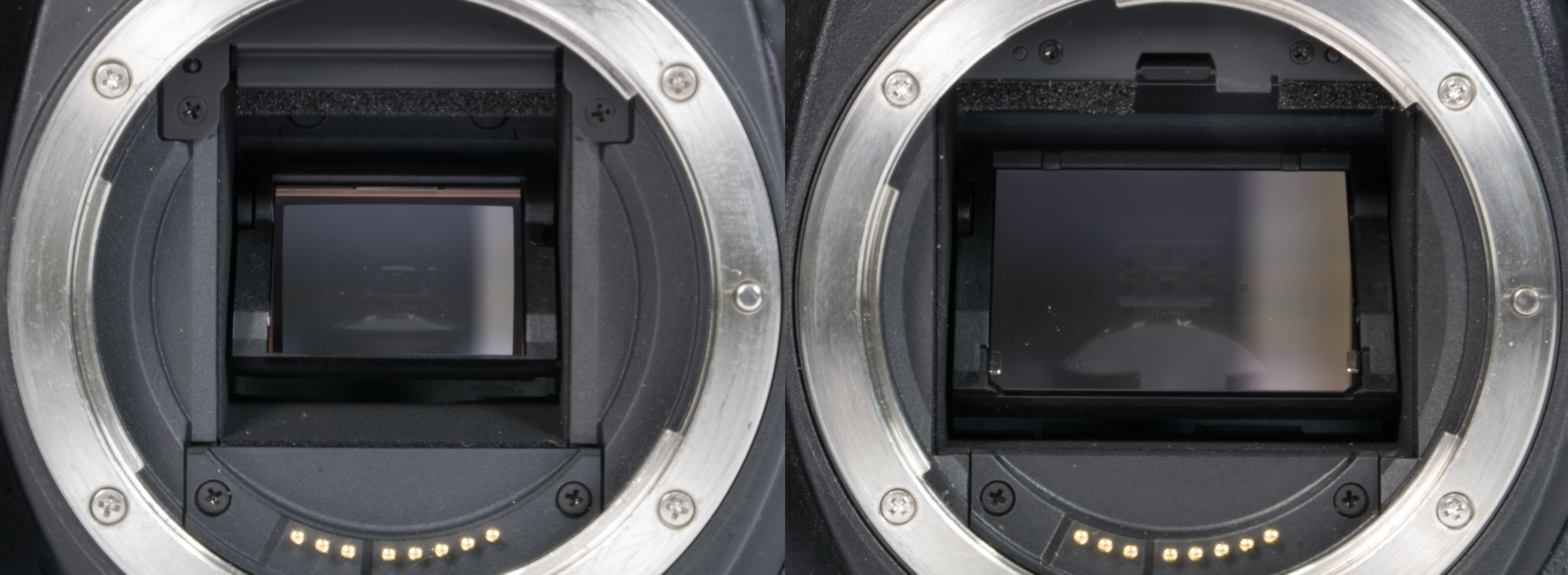 Cómo escoger el sensor de una cámara Reflex ¿Full Frame o APS-C?