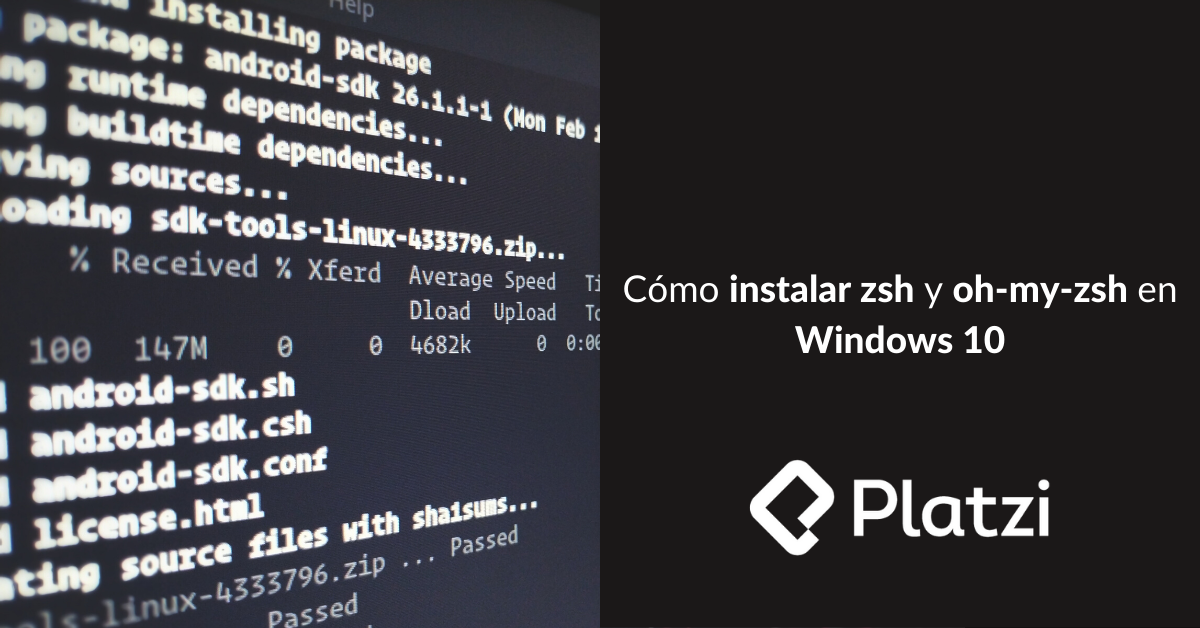 Cómo instalar las terminales zsh y oh-my-zsh en Windows 10 Cómo instalar las terminales zsh y oh-my-zsh en Windows 10