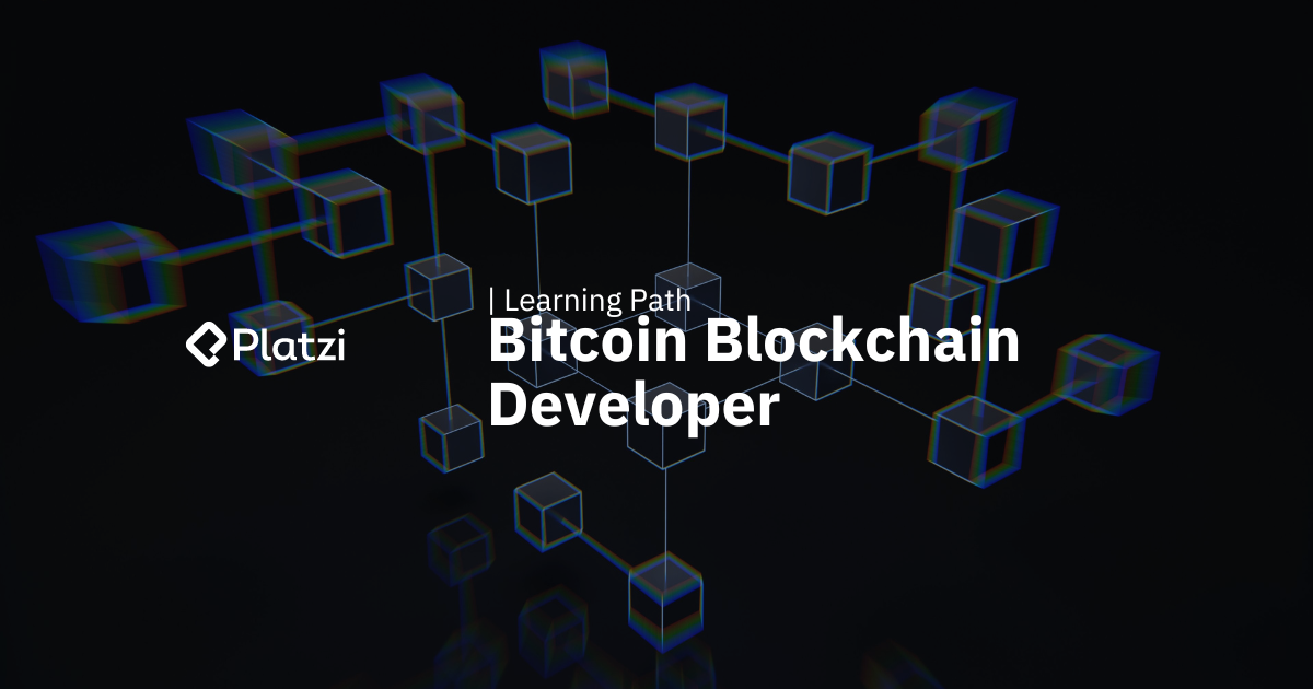 Bitcoin Blockchain Developer