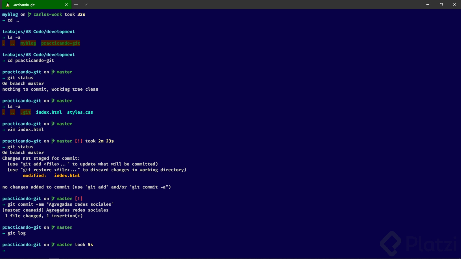 Cómo personalizar tu terminal: temas, colores y plugins