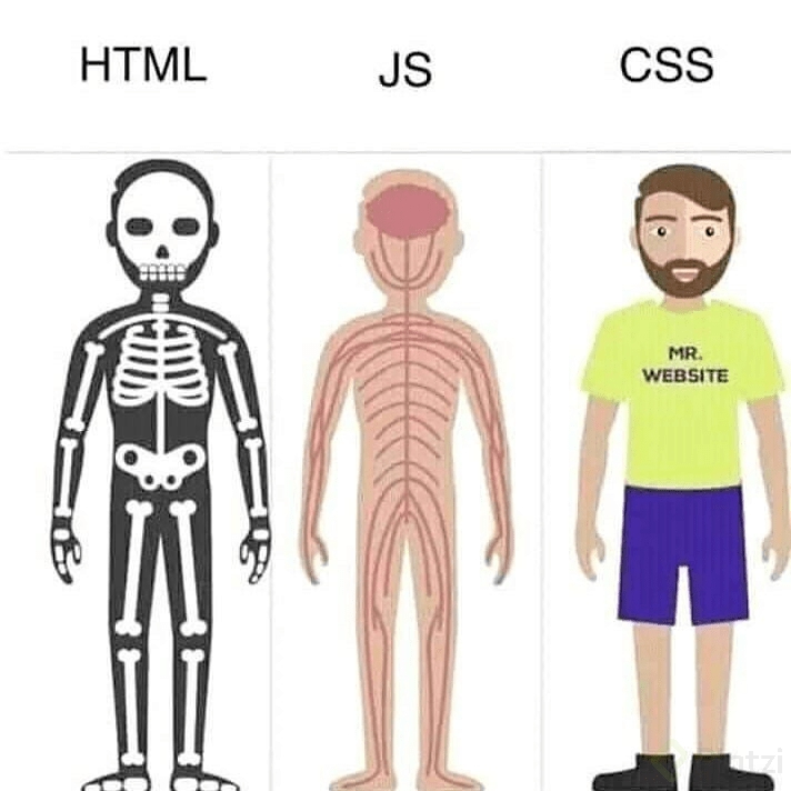  Qu Es CSS Platzi