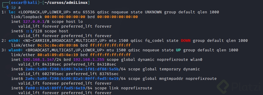 cuando digito el comando ip a tengo el siguiente resultado , cual es mi ...