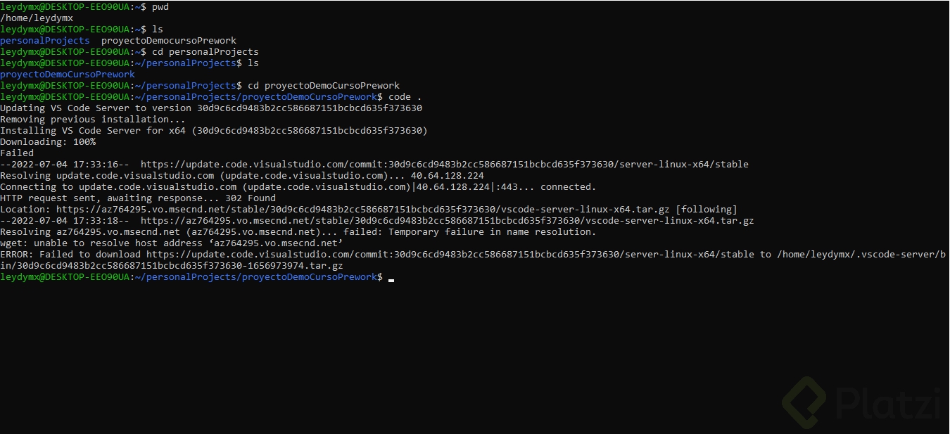 No se me abre el Visual Studio Code despues de escribir code