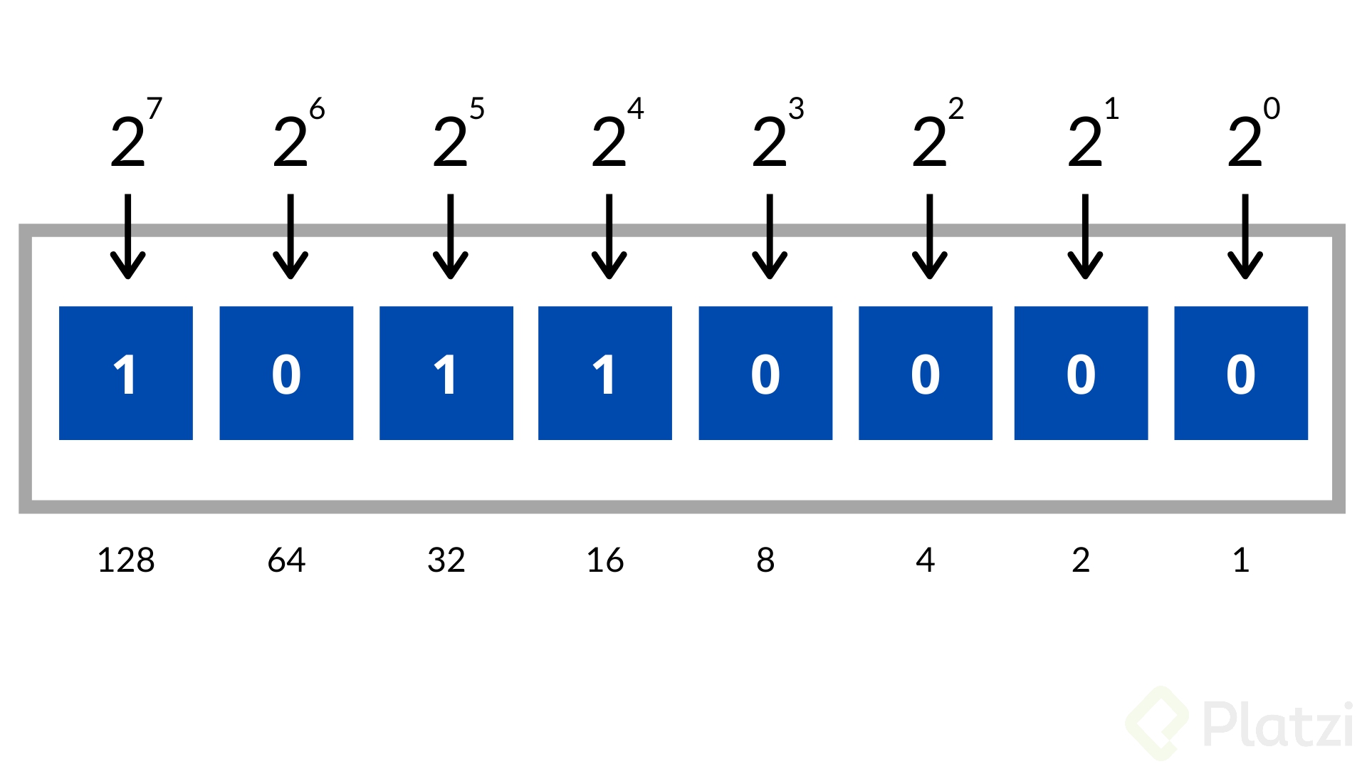 5 De Bits Y Bytes Cursation
