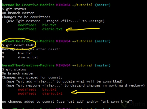 No me quedó clara cual es la diferencia entre git rm –cached y git reset HEAD Según entiendo ...